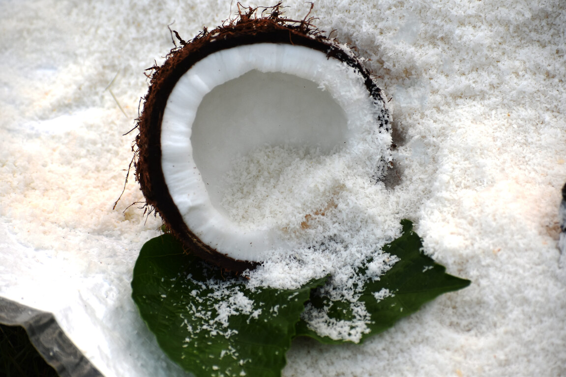 Sri Lakshmi Agro Industry | Desiccated Coconut Powder - Manufacturers ...